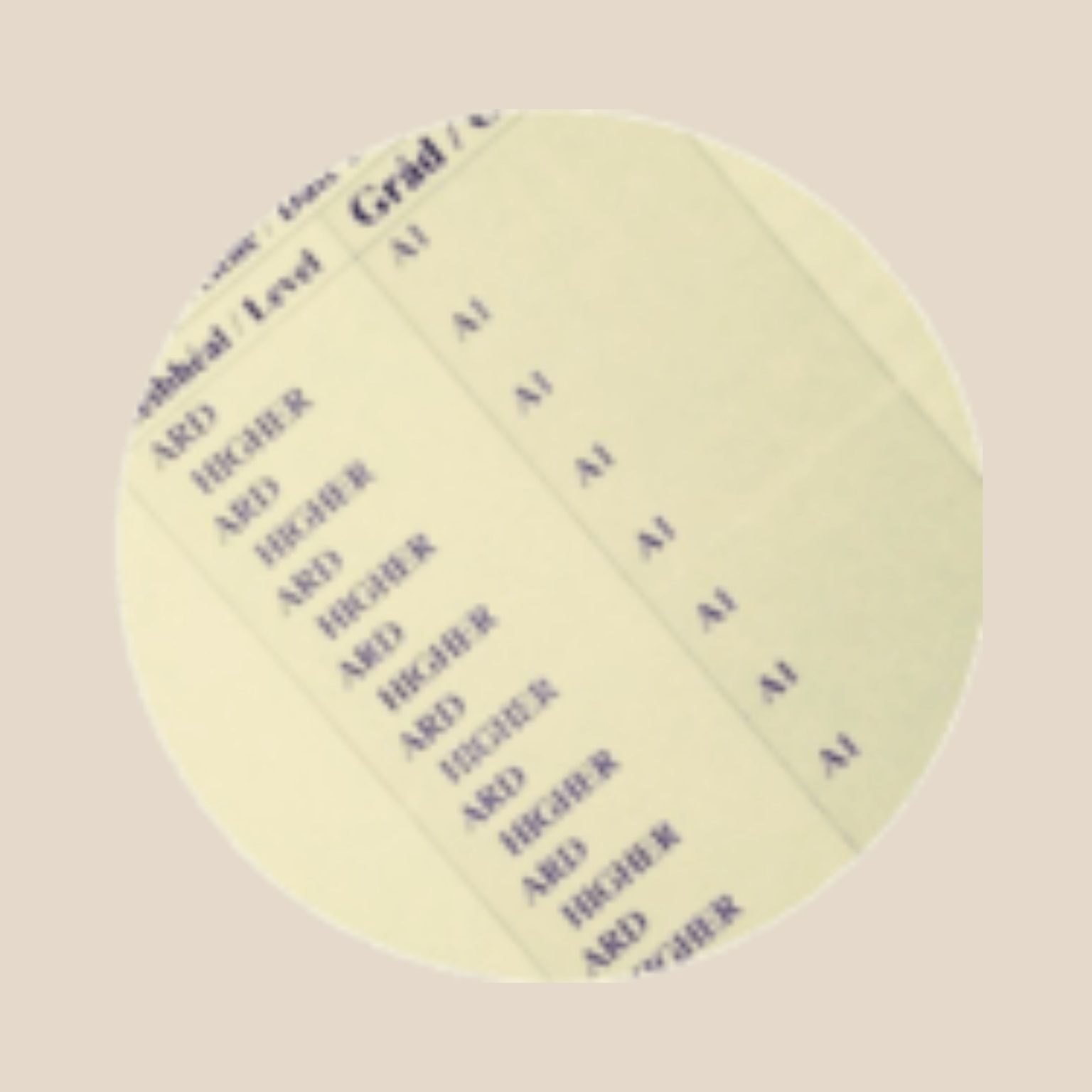 Home Leaving Cert Notes and Samples Essays - Leaving Cert Notes and ...